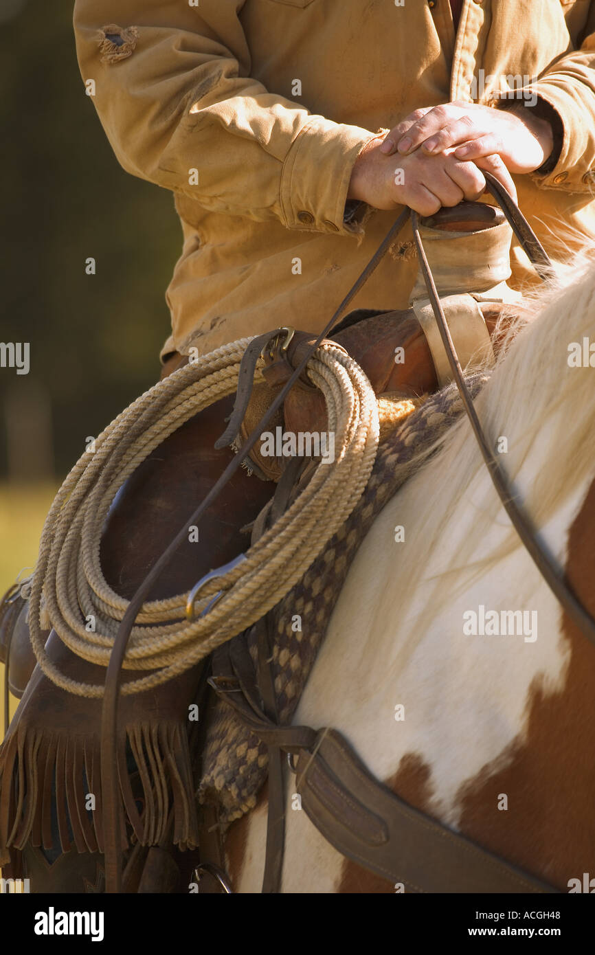Horse lasso gear hi-res stock photography and images - Alamy