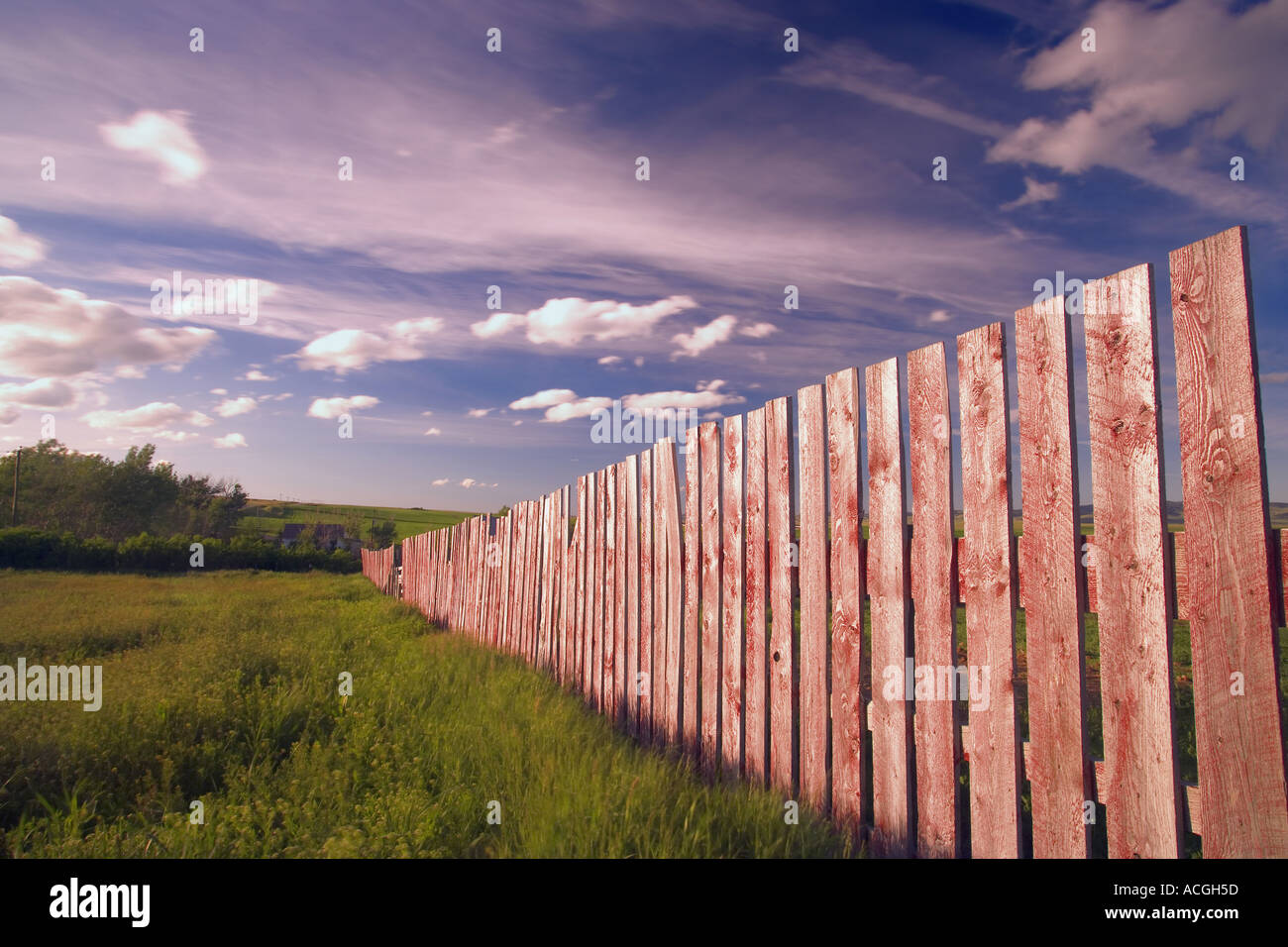 Wooden fencing and green pastures in Southern Alberta Canada Stock ...