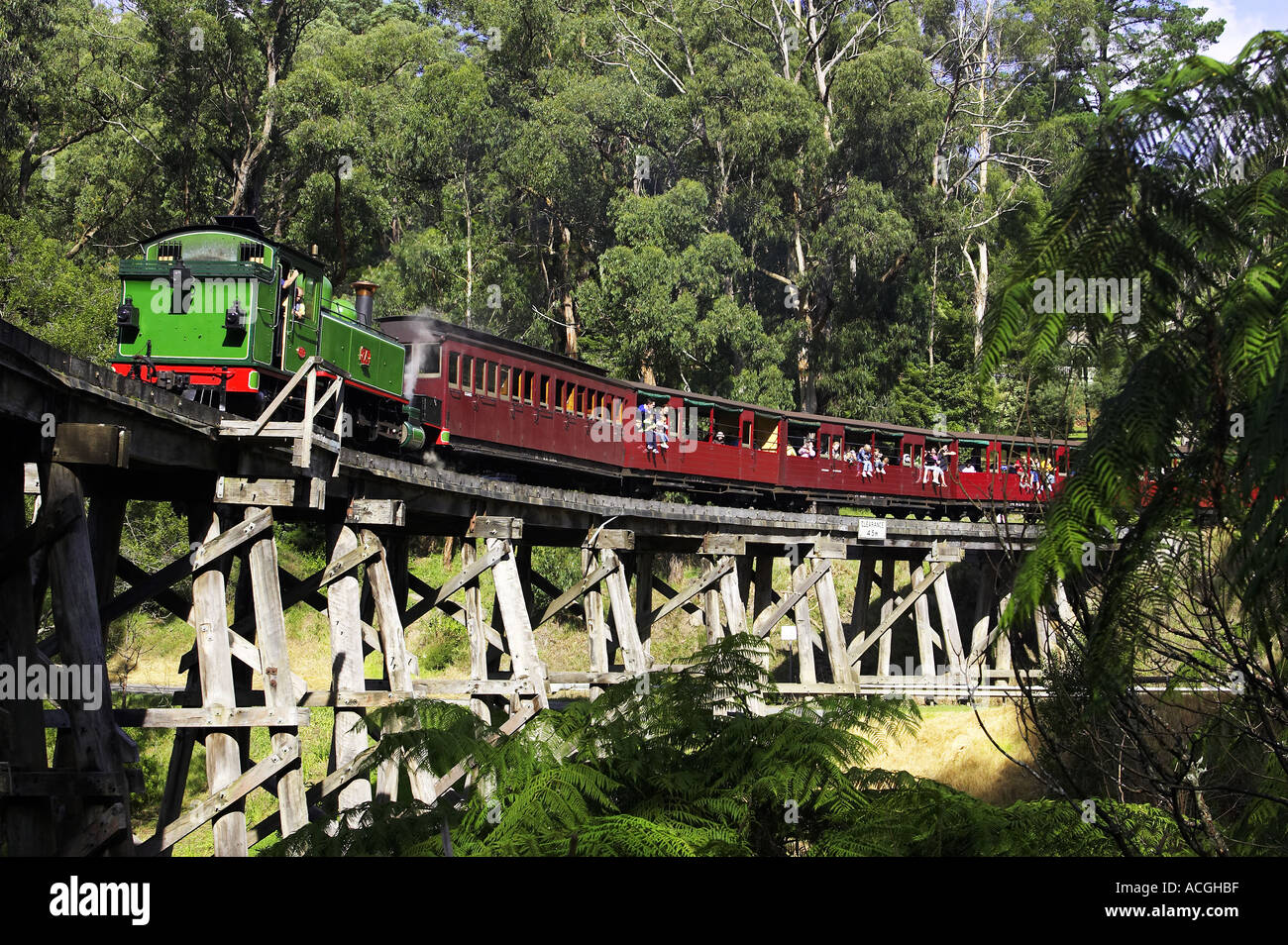 Puffing Billy Steam Train Dandenong Ranges near Melbourne Victoria Stock Photo: 4293054 - Alamy