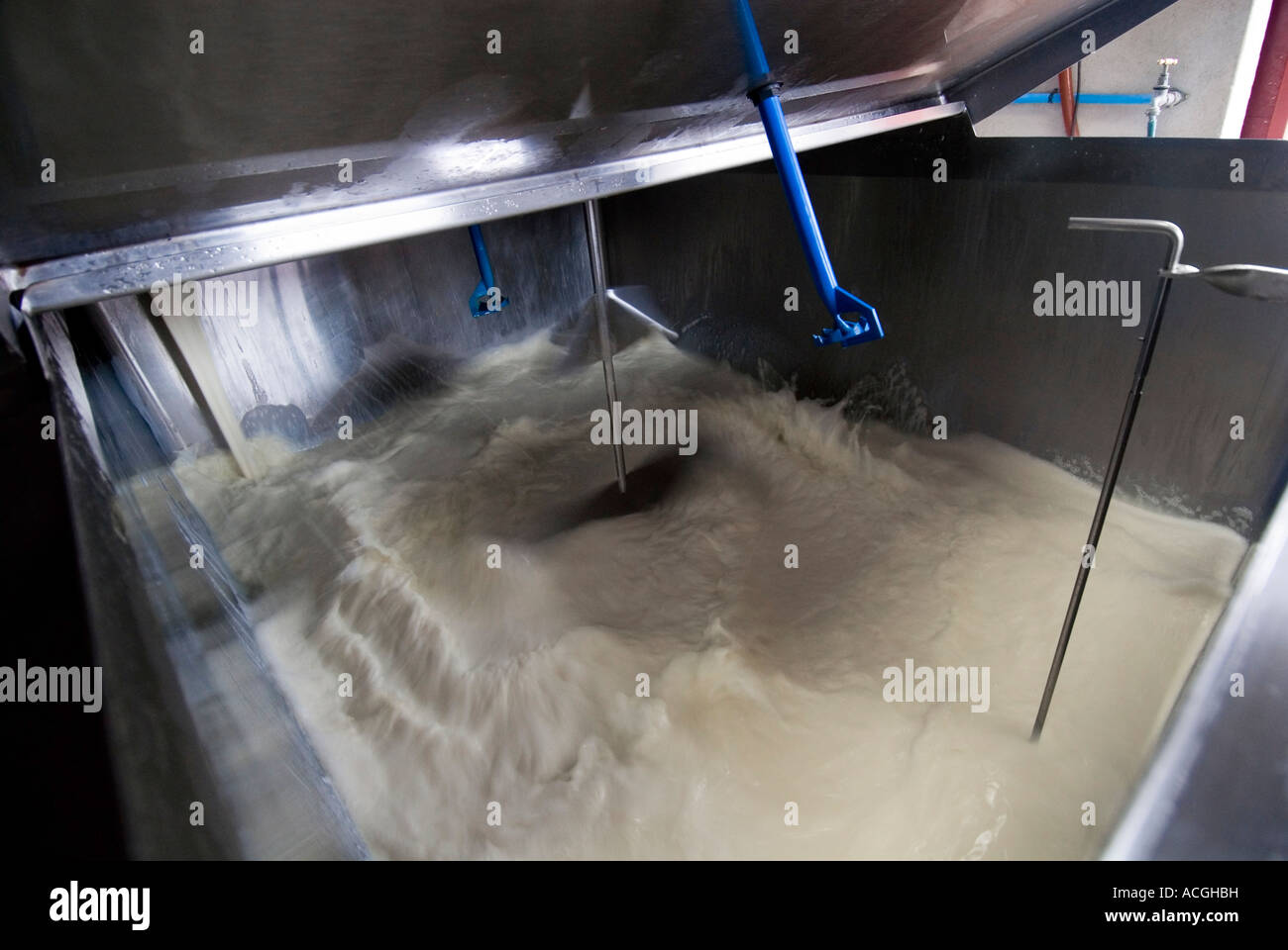 Fresh cows milk churning in milking machine in modern dairy farm Stock ...