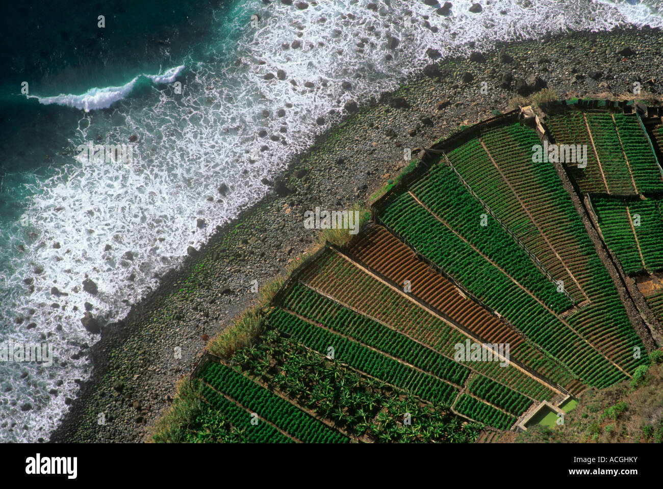High view of Madeira coastline with patchwork of agricultural crops ...