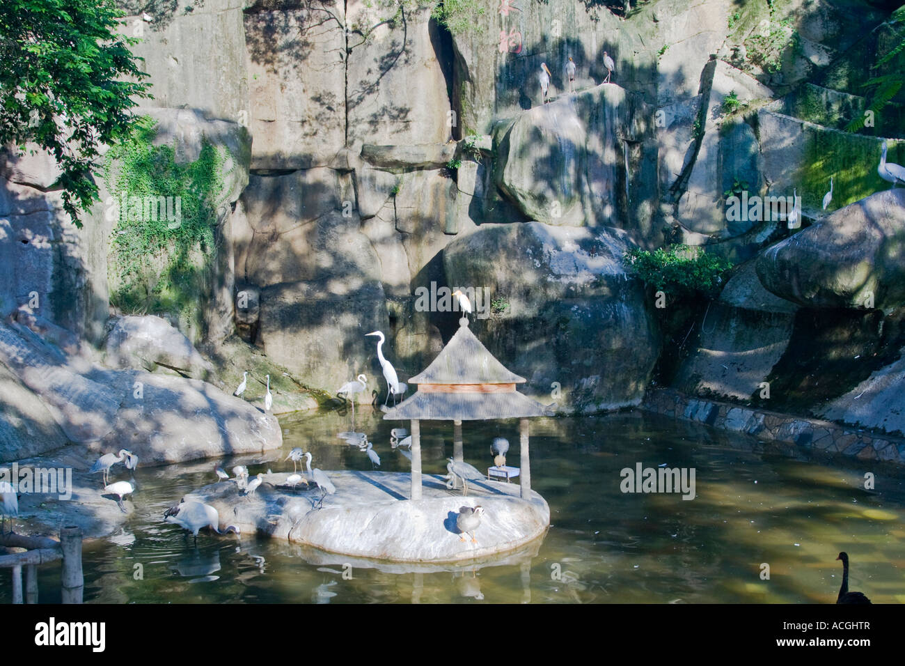 Bird Sanctuary and Garden Gulangyu Island Xiamen China Stock Photo - Alamy
