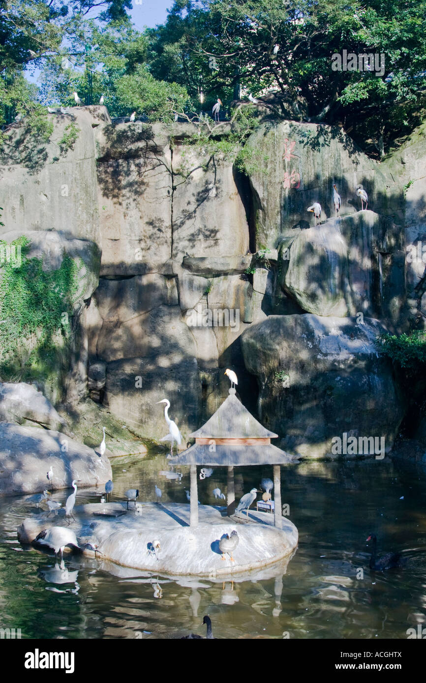 Bird Sanctuary and Garden Gulangyu Island Xiamen China Stock Photo - Alamy