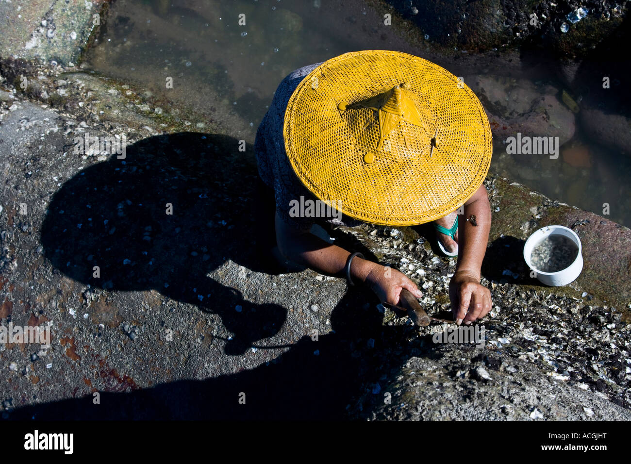Chinese woman city hi-res stock photography and images - Alamy
