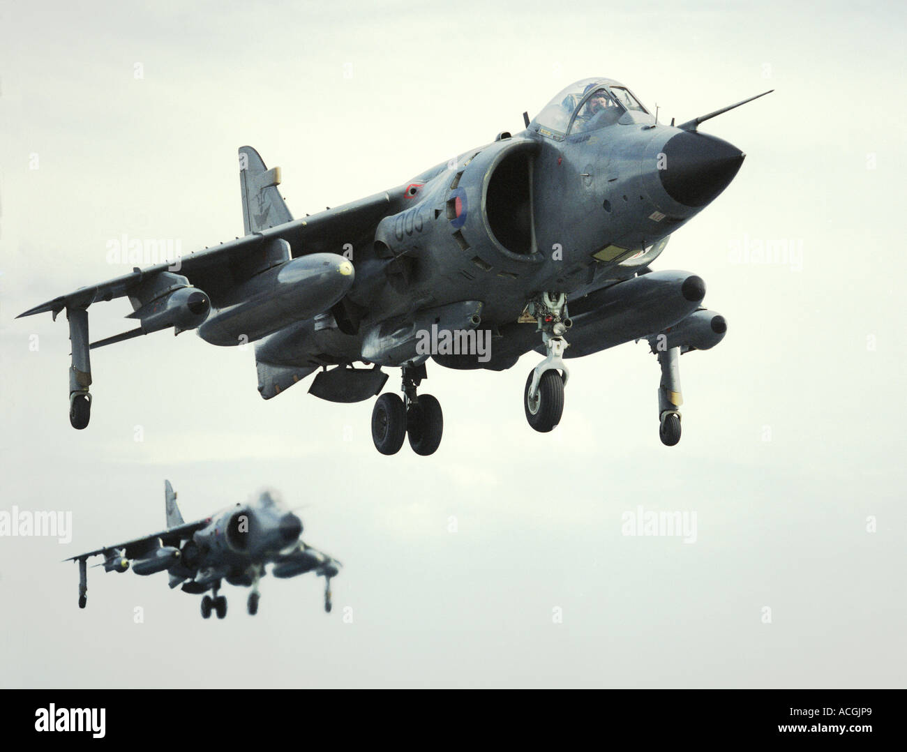 Harrier Hovering
