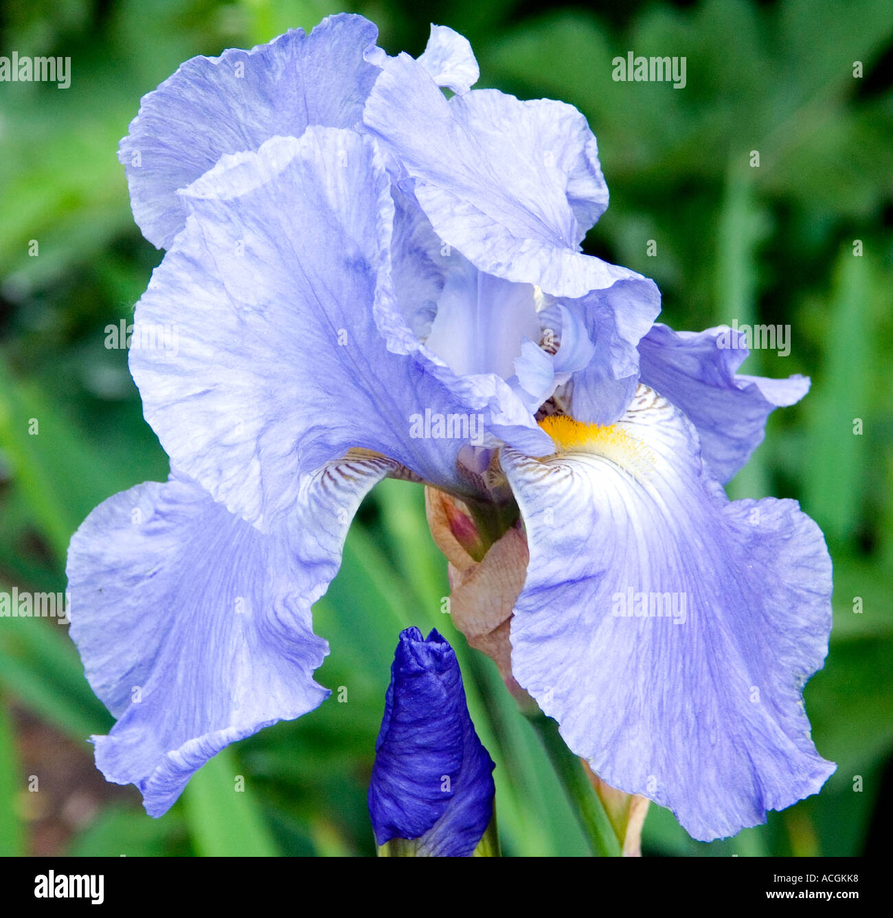 Tyrolian High Resolution Stock Photography and Images - Alamy