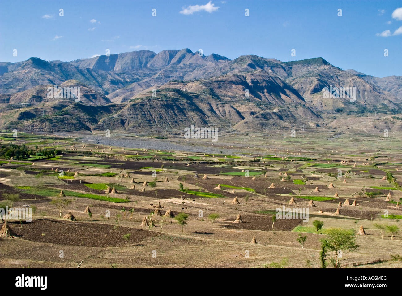 Dessie and ethiopia hi-res stock photography and images - Alamy