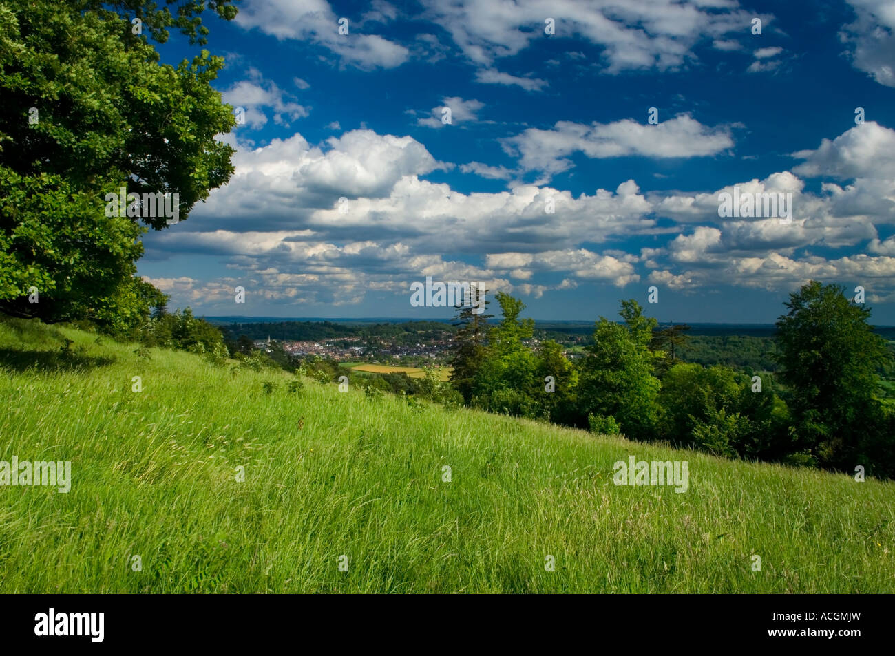 Ranmore Common near Dorking Surrey England UK Stock Photo - Alamy