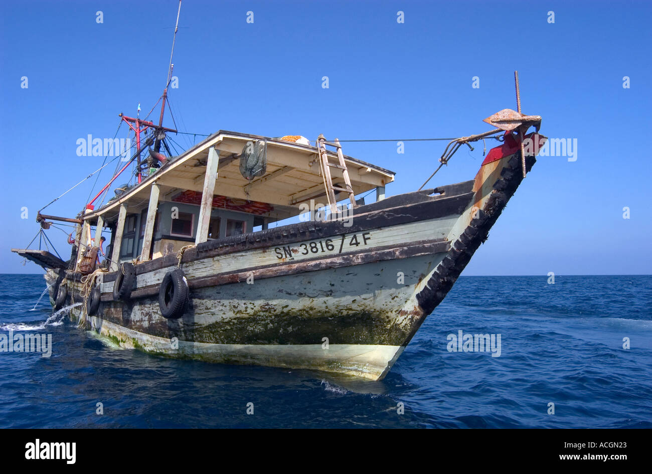 Bottom Trawling Bycatch