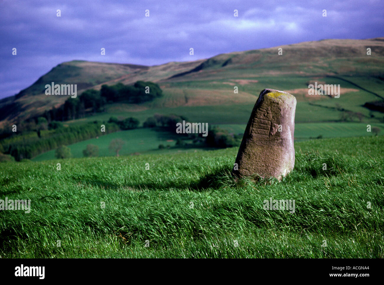 The 'Symbol Stone' - an ancient Pictish inscribed boulder - near ...