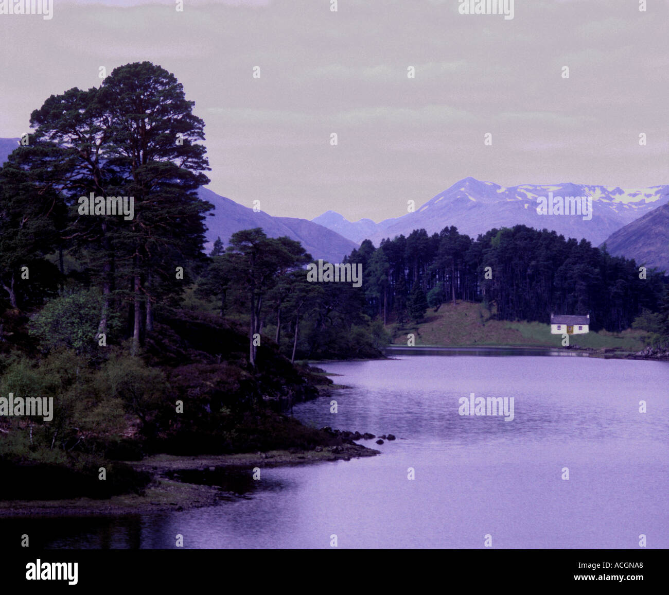 Glen affric lodge hi-res stock photography and images - Alamy