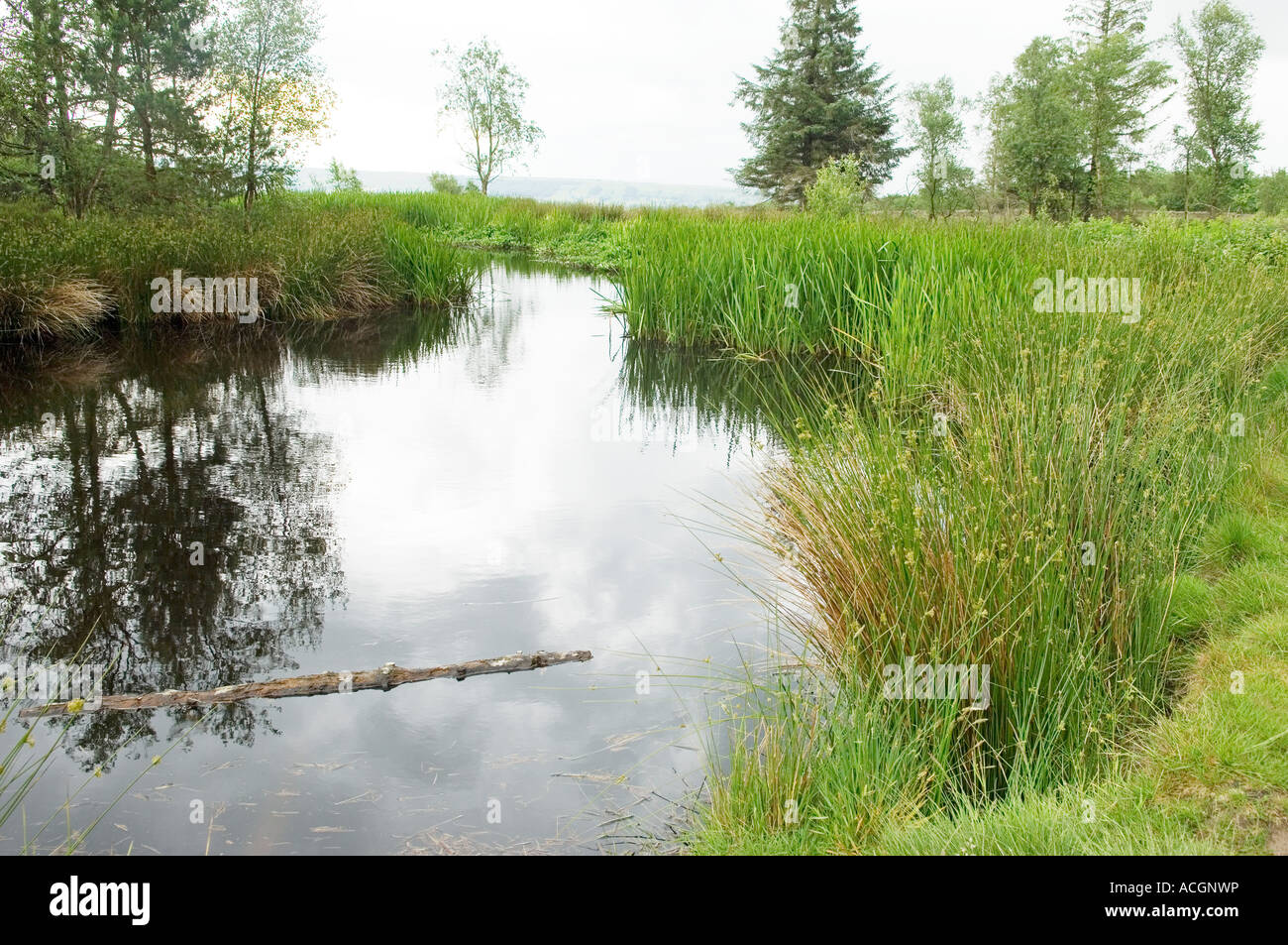 Small hillside pond Stock Photo - Alamy