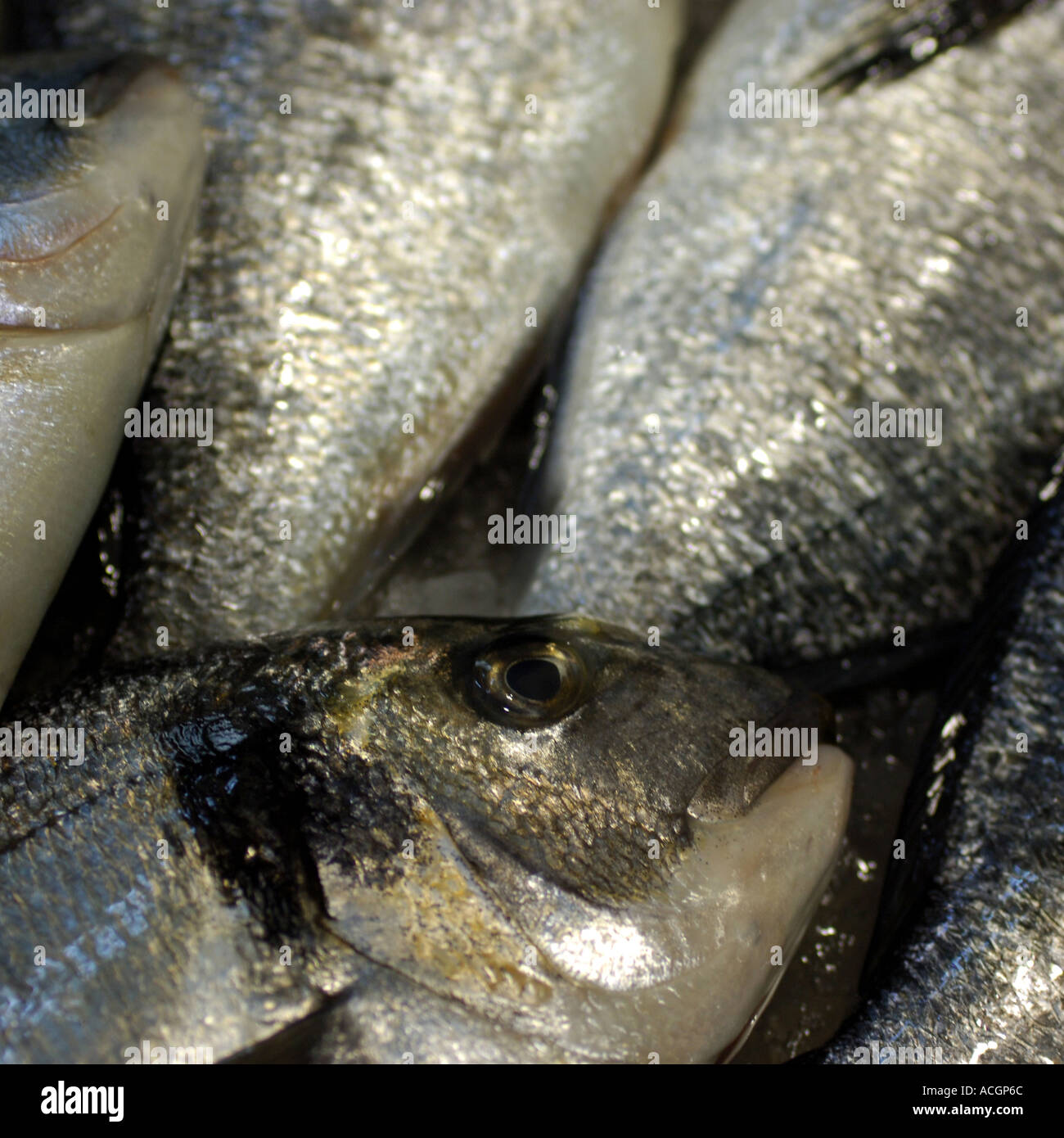 Limassol cyprus red food hi-res stock photography and images - Alamy