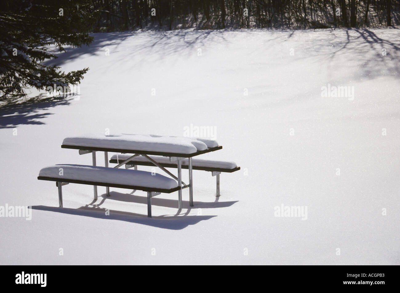 Snow covered picnic seating Stock Photo - Alamy