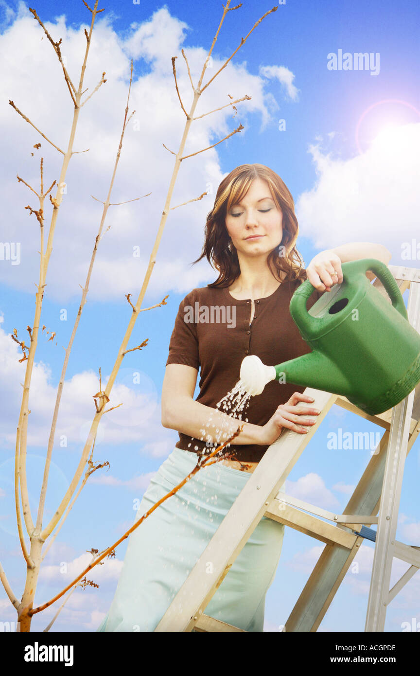 Rose sapling hi-res stock photography and images - Alamy