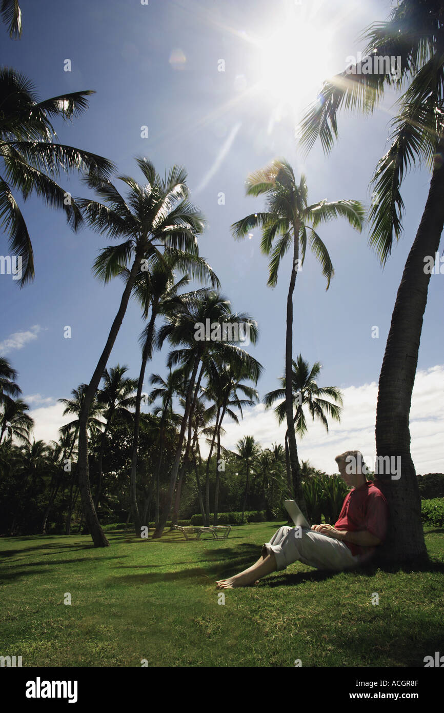 Tropical greenwood hi-res stock photography and images - Alamy
