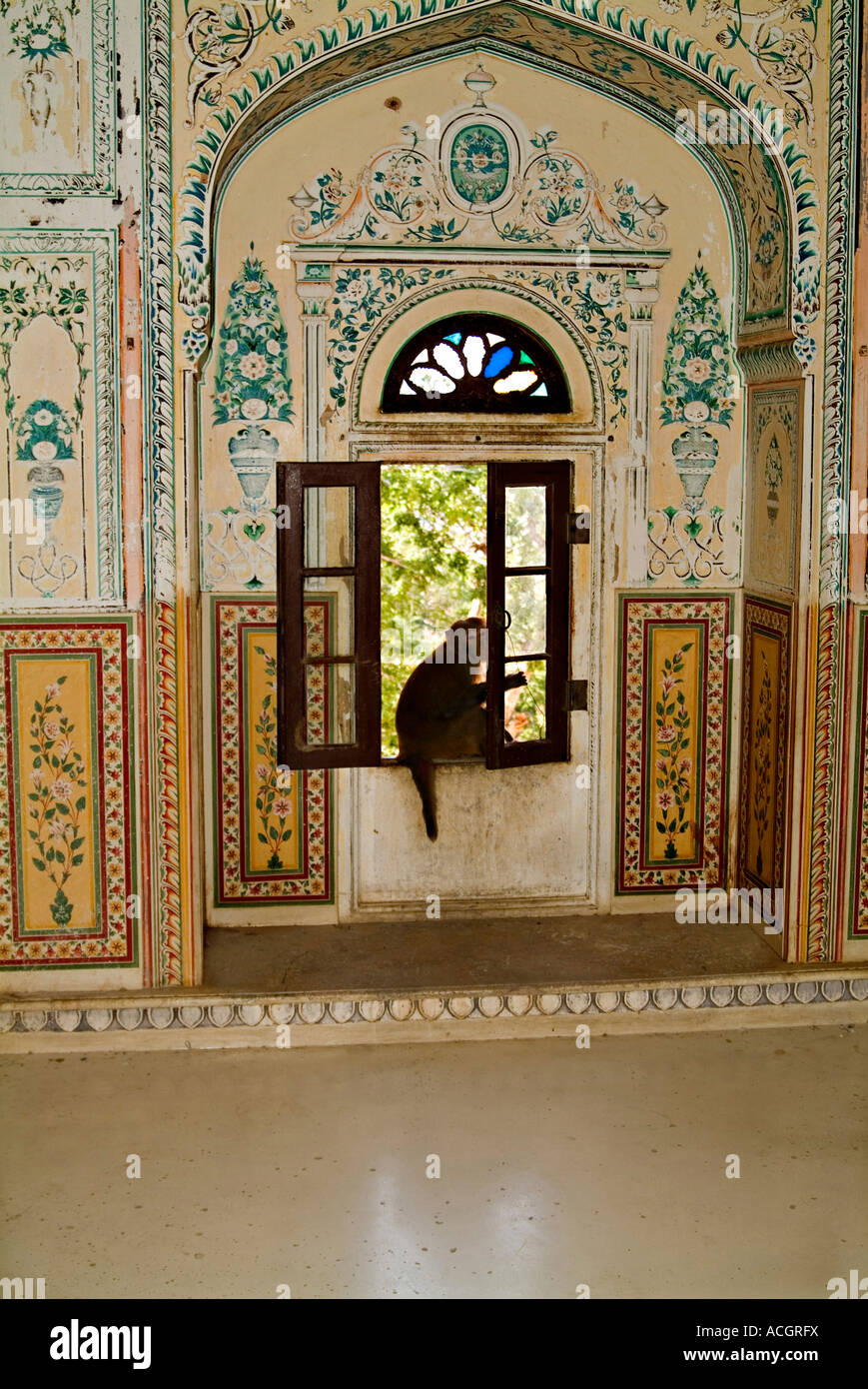 A monkey sitting in the beautiful window of Jaipur castle Stock Photo ...