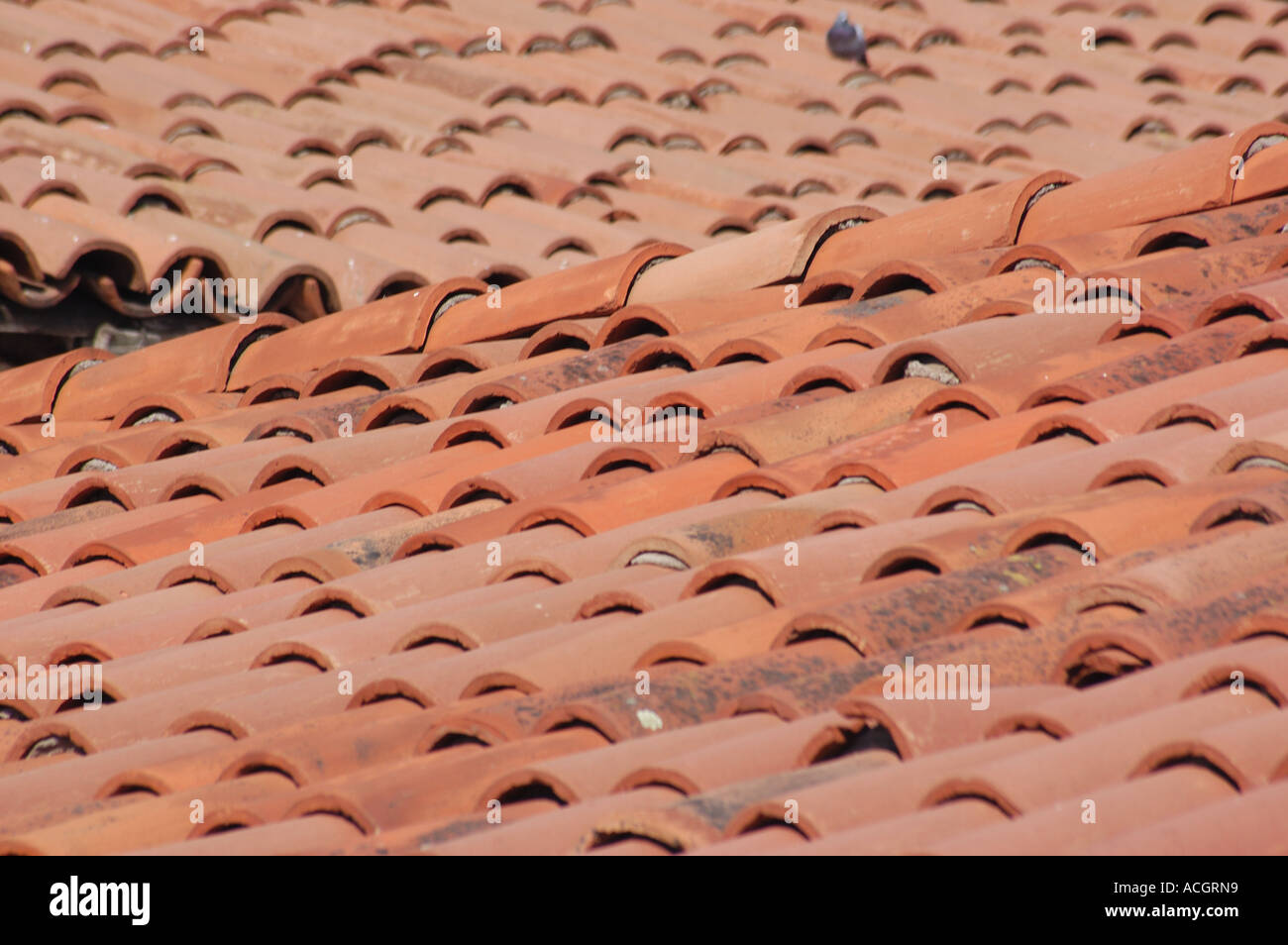 Red Adobe Tile Roof Stock Photo - Alamy