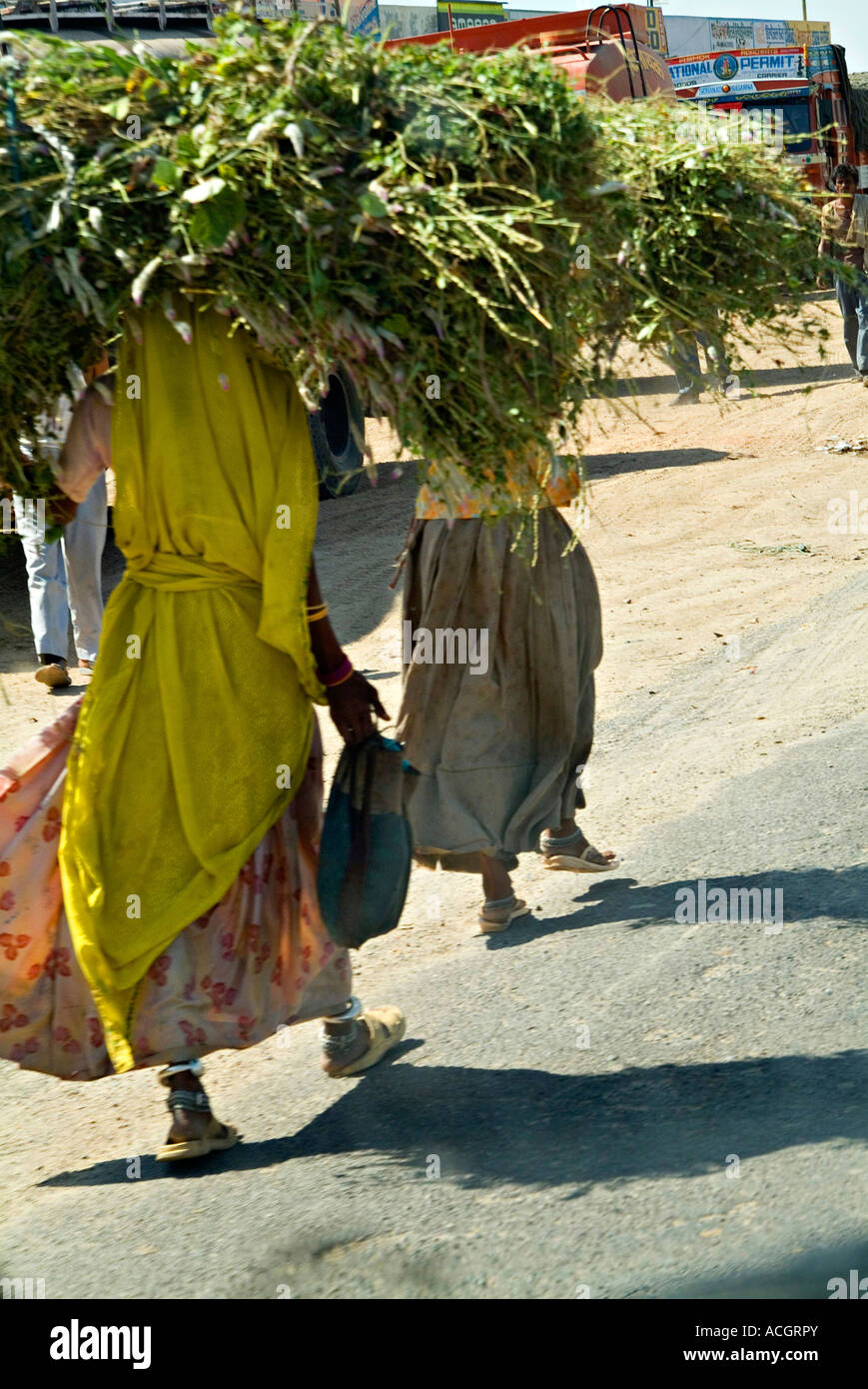 Two women carrying fodder on their head Stock Photo - Alamy