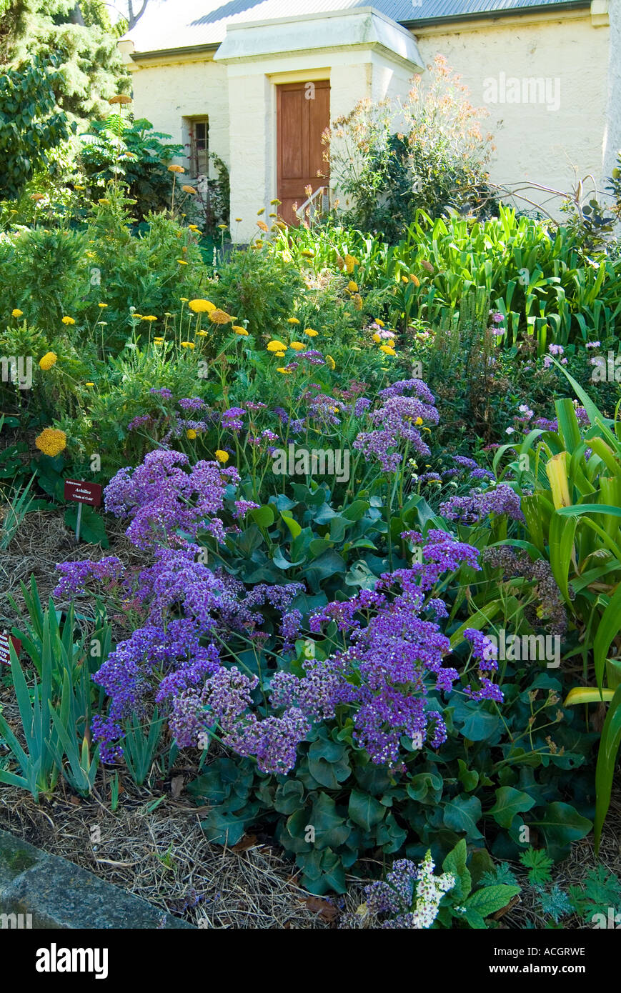 Cottage plants hi-res stock photography and images - Alamy