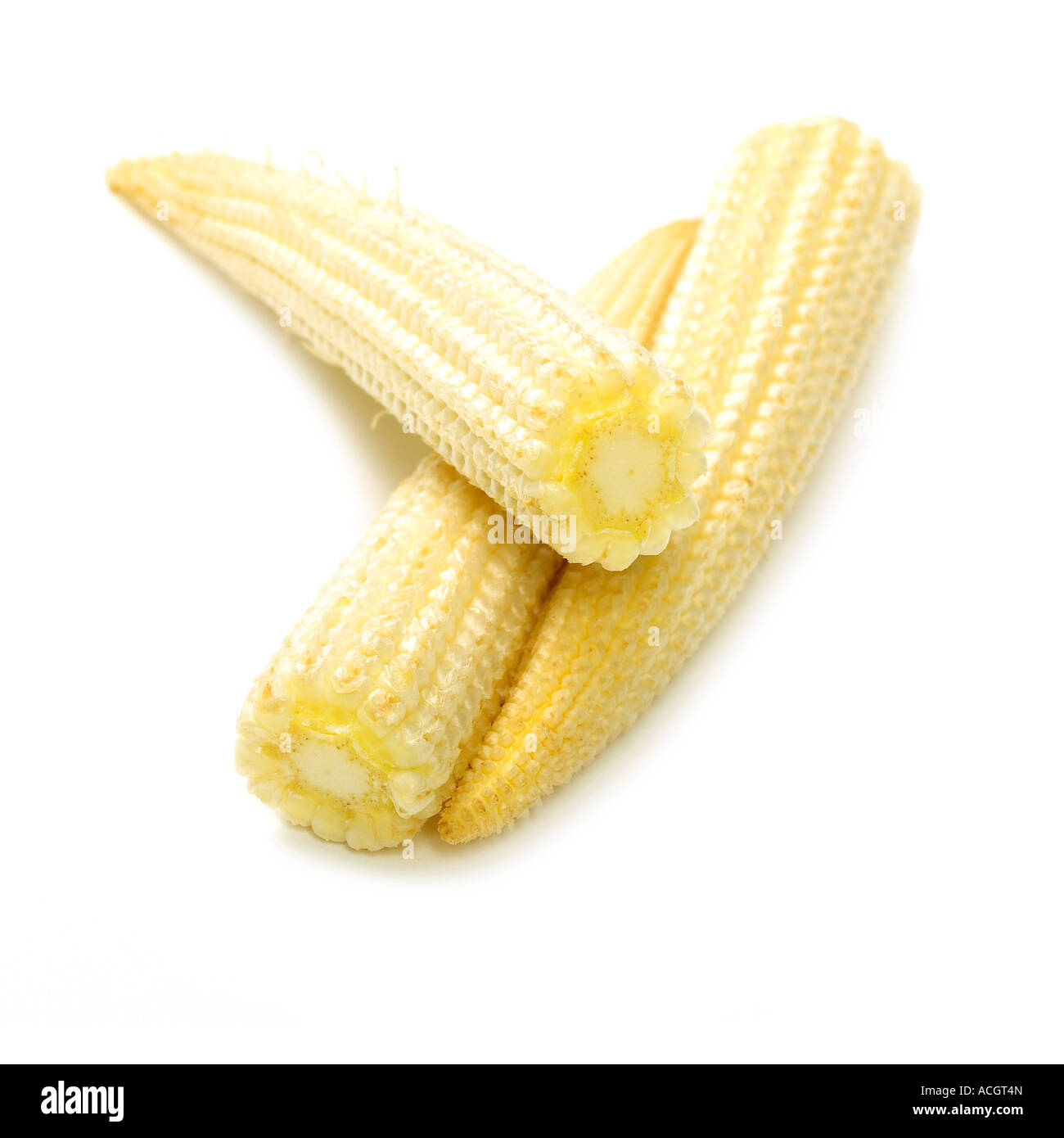 fresh baby corn on a white background Stock Photo - Alamy
