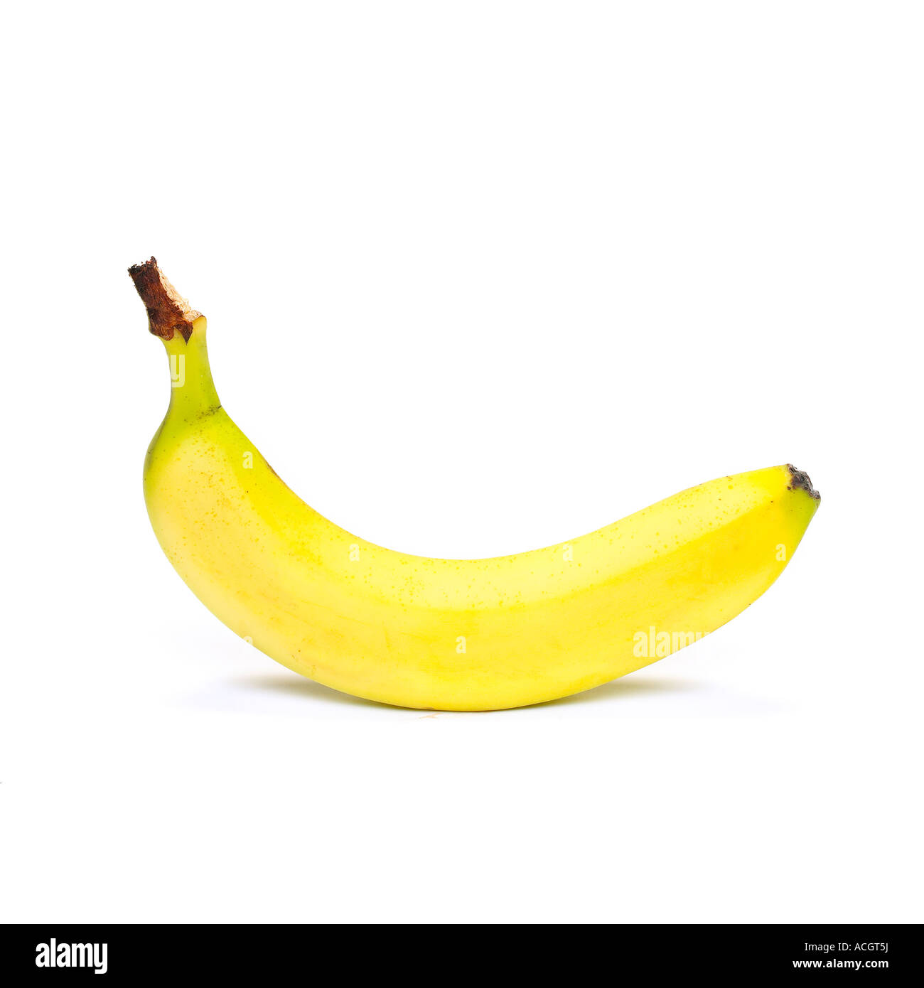 Banana house plant Cut Out Stock Images & Pictures - Alamy