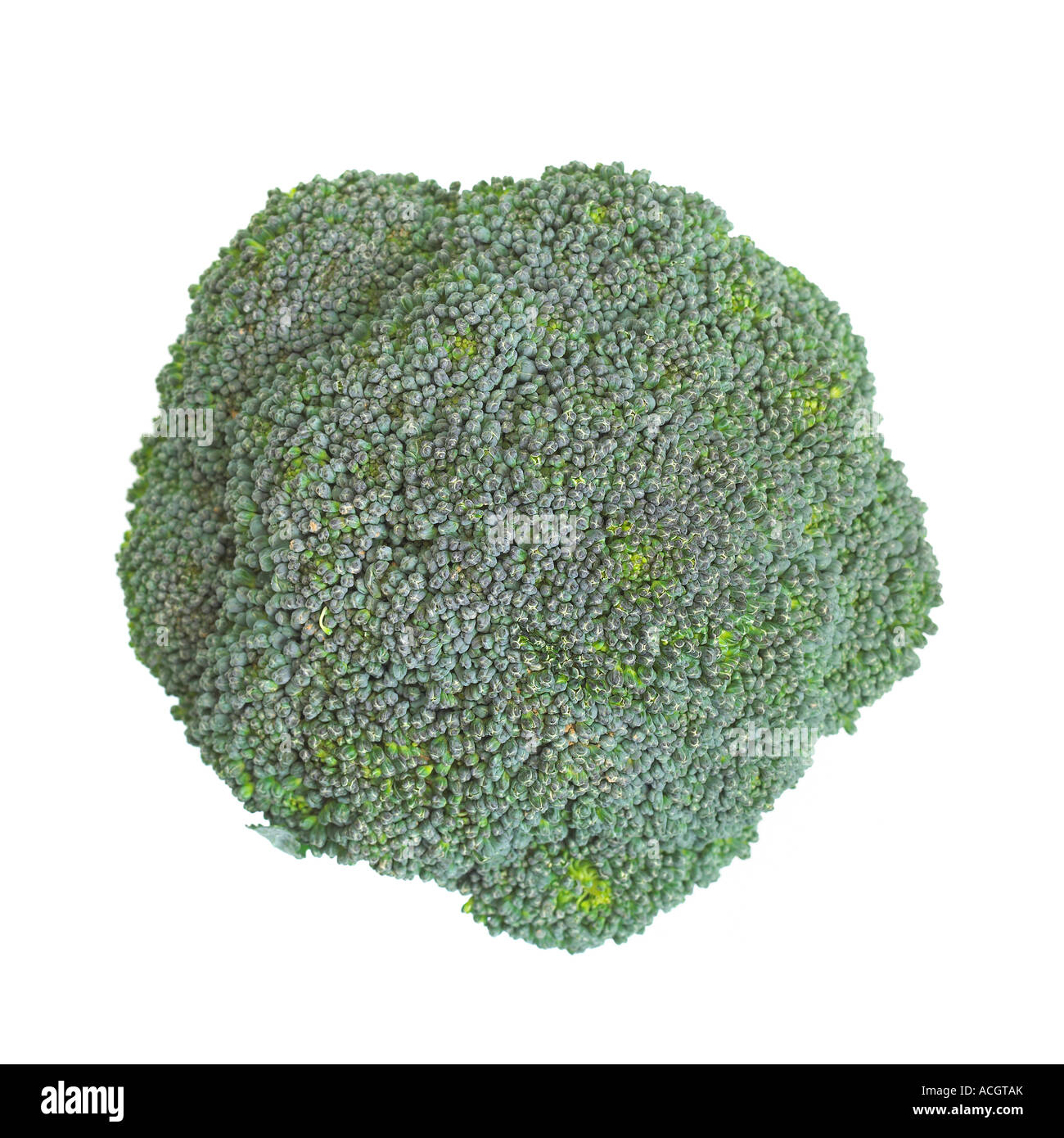 fresh ripe broccoli from above on a white backgound Stock Photo - Alamy