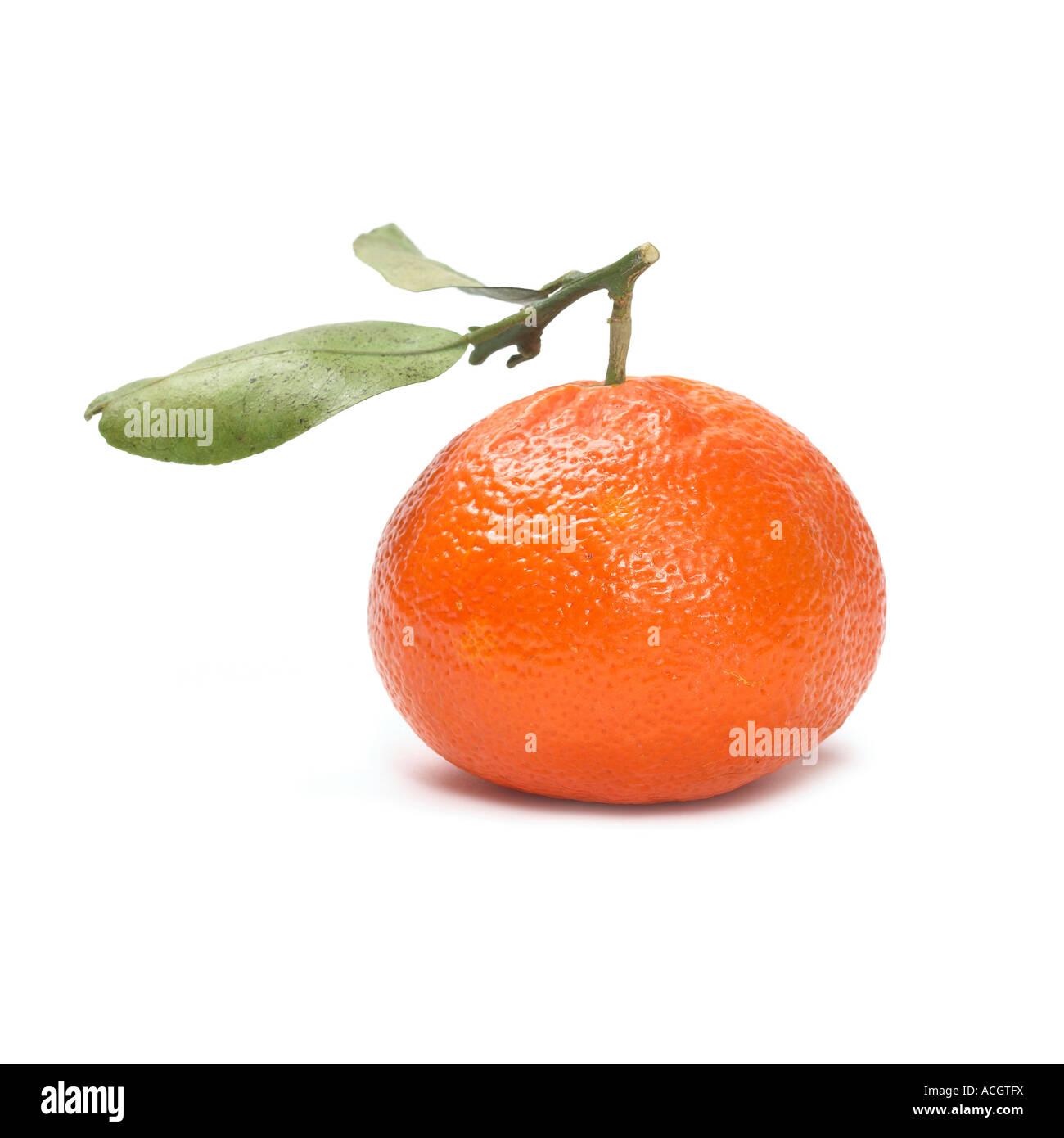 A fresh ripe juicy clementine on a white backgound Stock Photo - Alamy