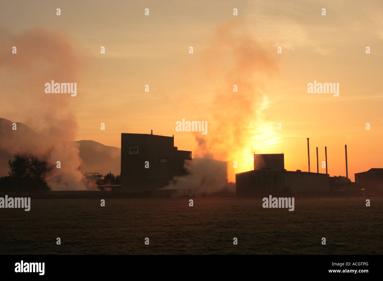 Early morning sunshine casts shadows in steam rising from the Kerry Bio ...