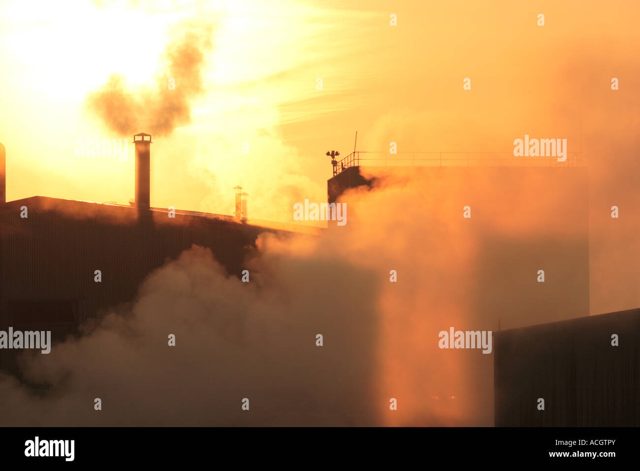 Early morning sunshine casts shadows in steam rising from the Kerry Bio ...