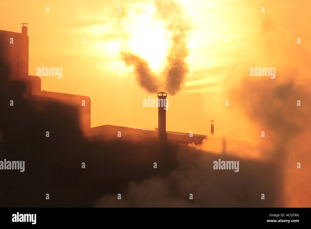 Early morning sunshine casts shadows in steam rising from the Kerry Bio ...