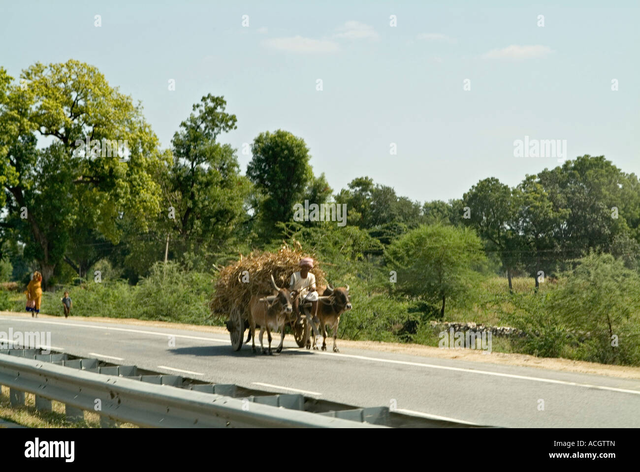 Farmer bullock cart hi-res stock photography and images - Alamy