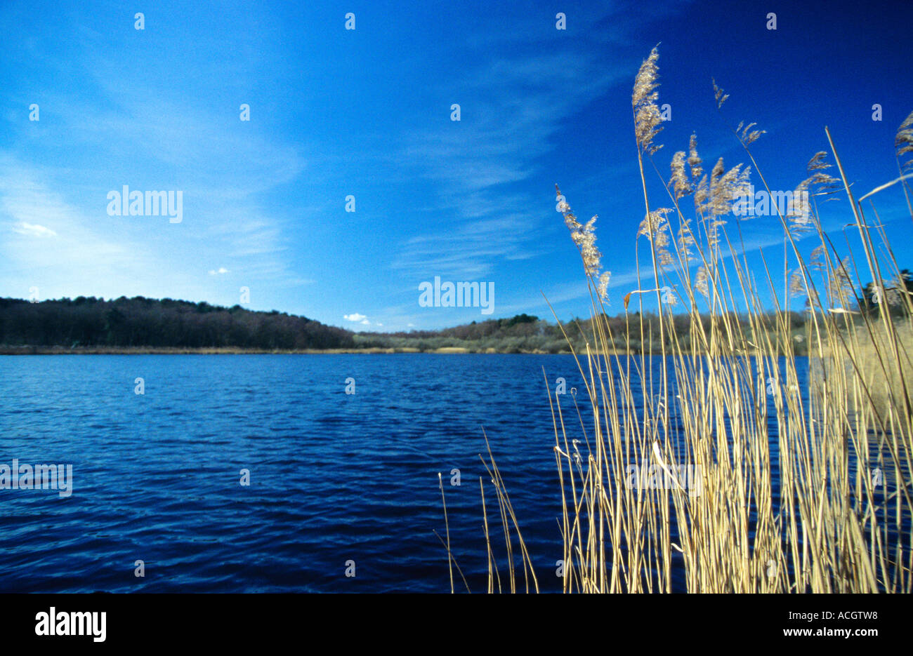 Hatchmere Lake, Cheshire, England Stock Photo - Alamy