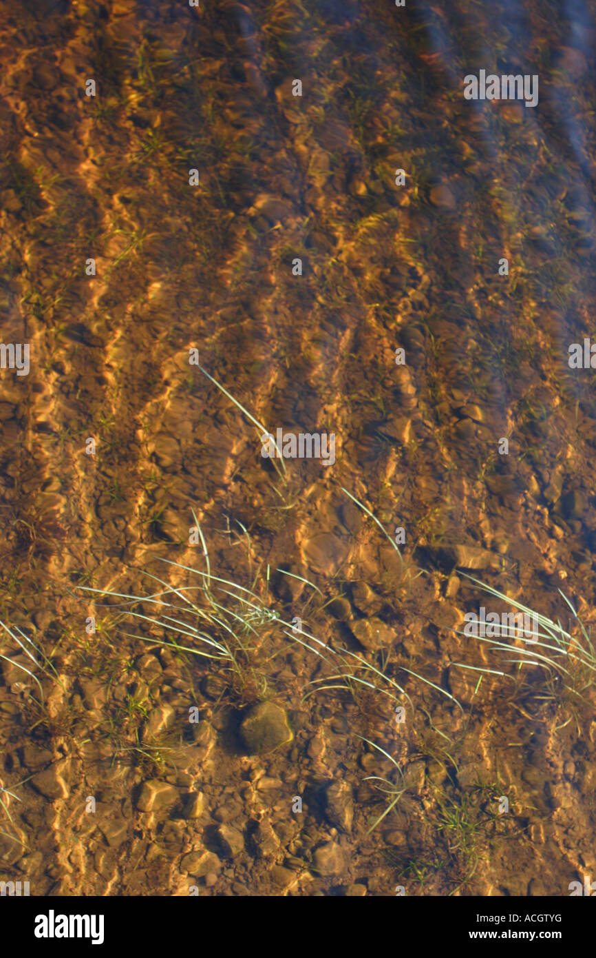 Light diffraction patterns hi-res stock photography and images - Alamy