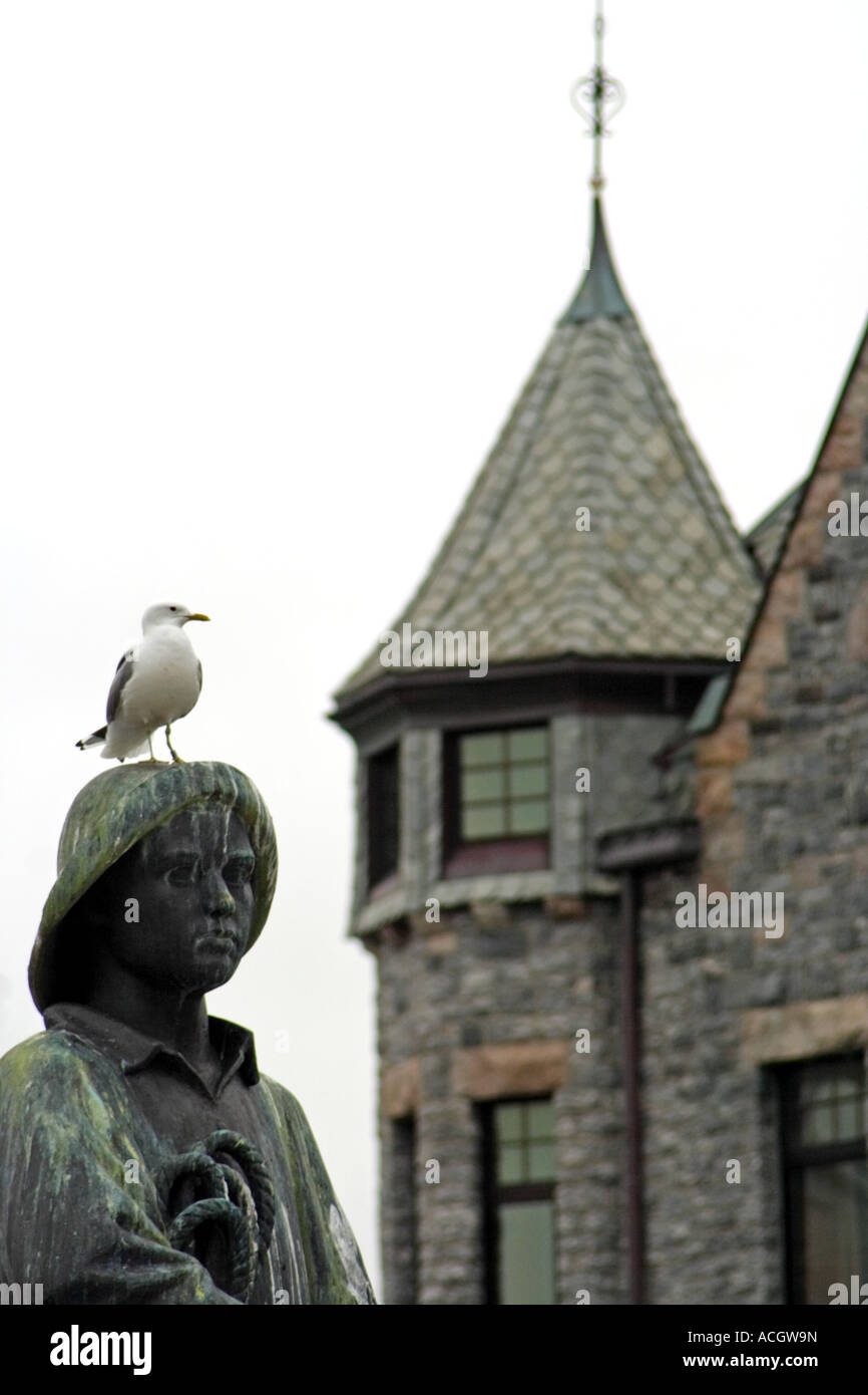 Seagull sitting on the head of a young sailor´s monument in Alesund ...
