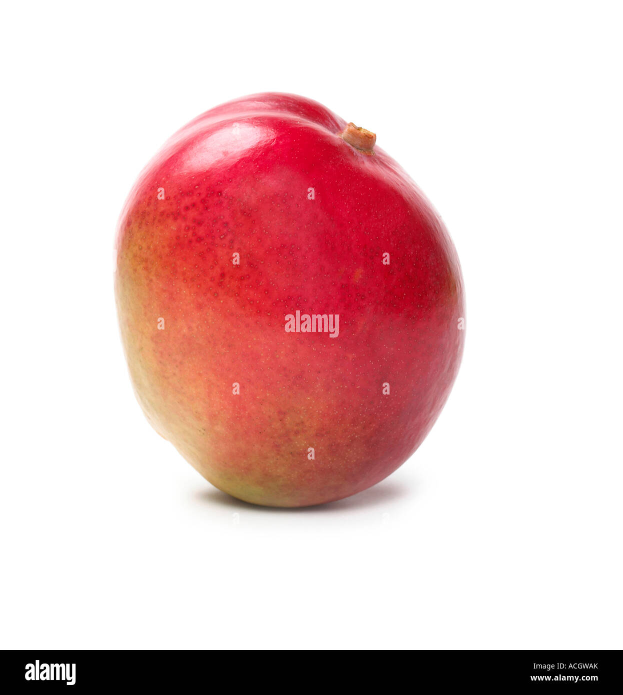 A fresh ripe mango on a white backgound Stock Photo - Alamy