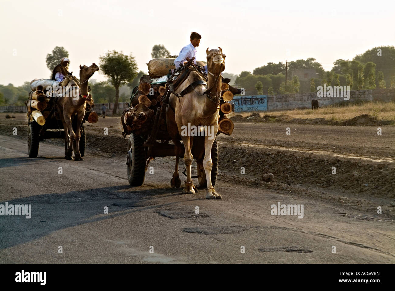 TWO CAMEL DRAWN LAOD CARRYING CARTS ON THE ROAD Stock Photo - Alamy
