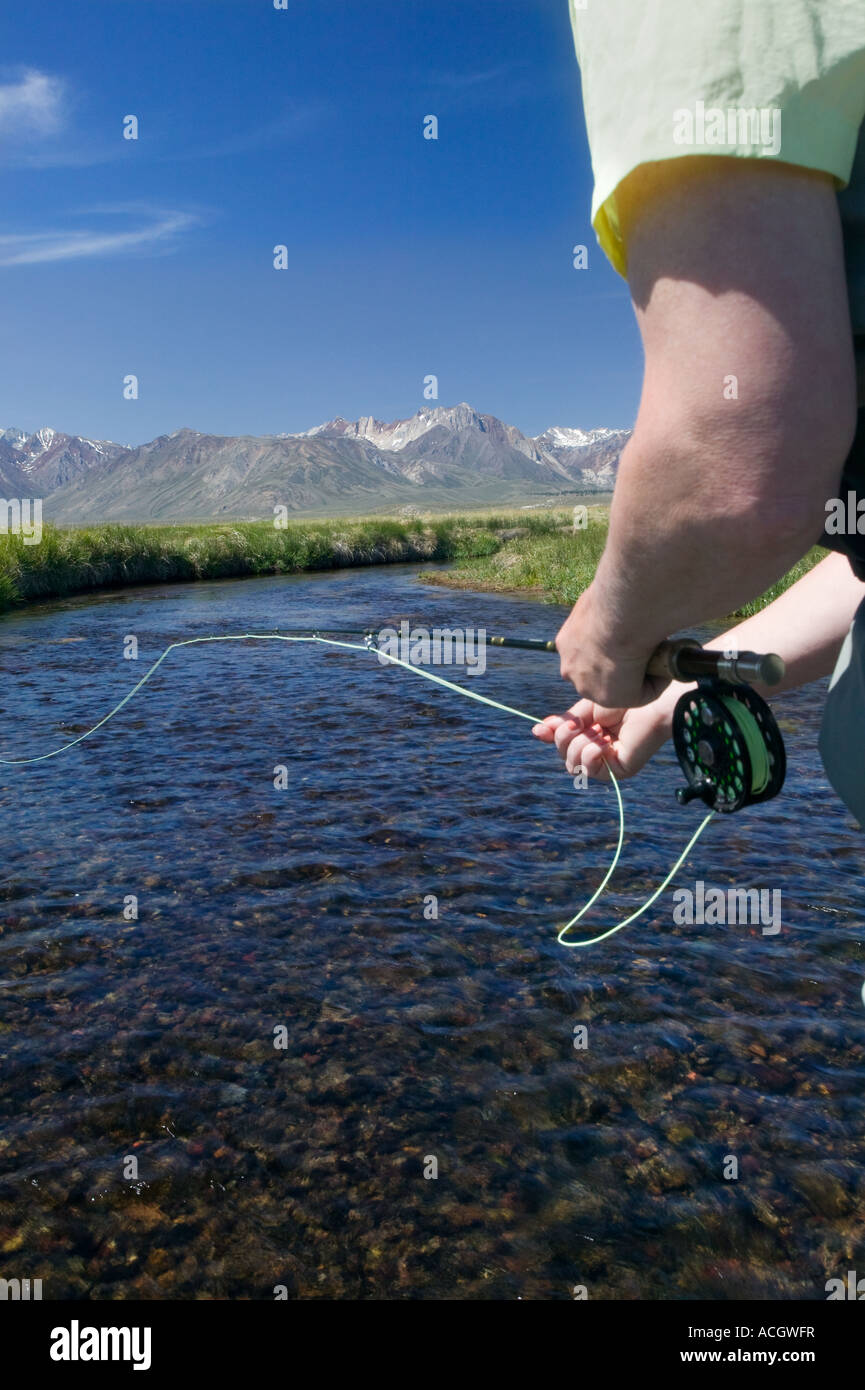 Fly fishing in Mammoth Stock Photo - Alamy