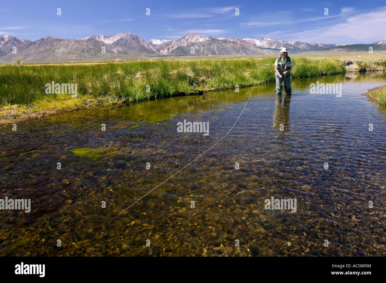 Fly fishing Owens River Stock Photo - Alamy