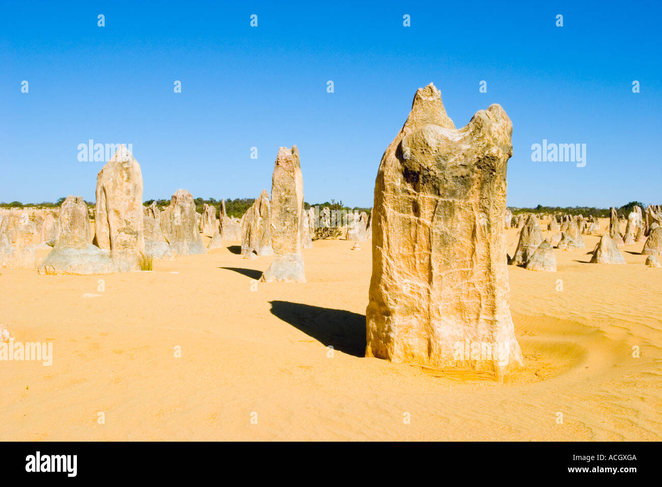 In the Pinnacles Desert, Nambung National Park thousands of huge ...
