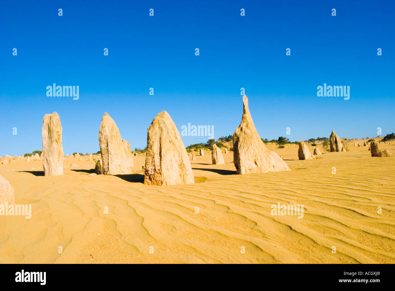 In the Pinnacles Desert, Nambung National Park thousands of huge ...