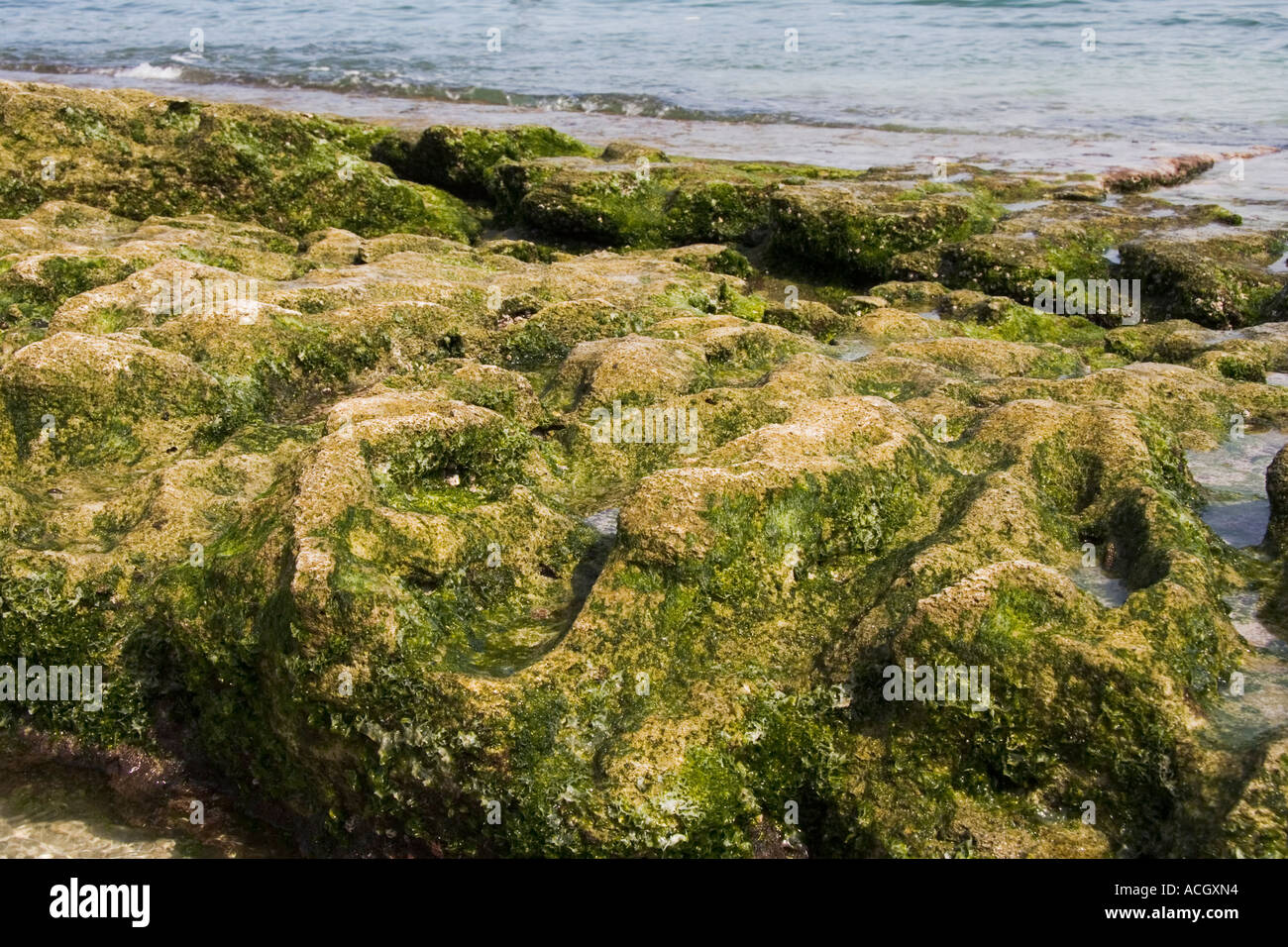 Mexico moss rocks hi-res stock photography and images - Alamy