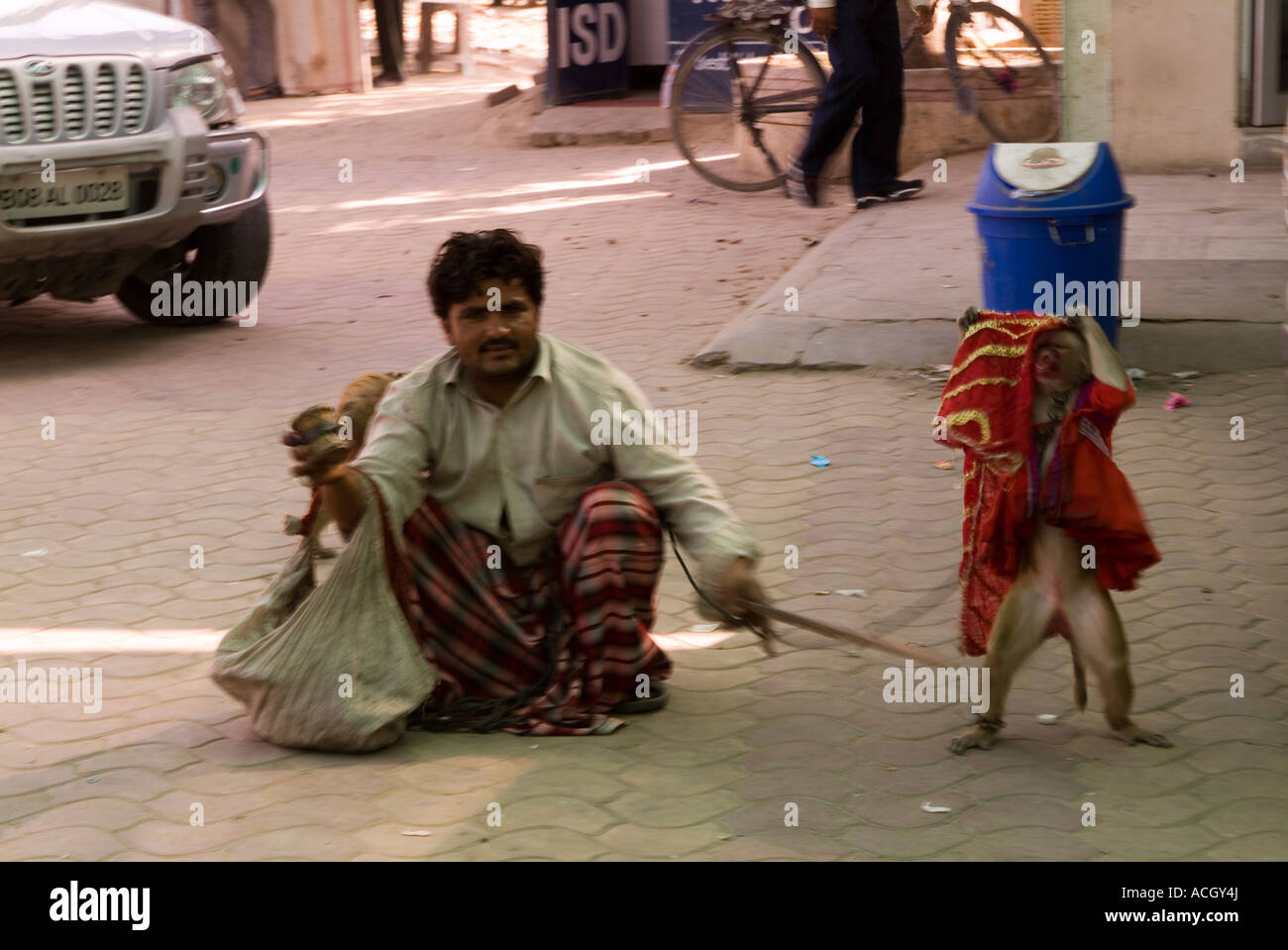 ORGAN GRINDER MAN AND ACROBATIC MONKEY Stock Photo - Alamy