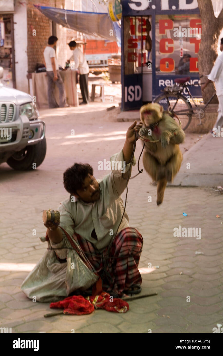 The Monkey Dance 60s