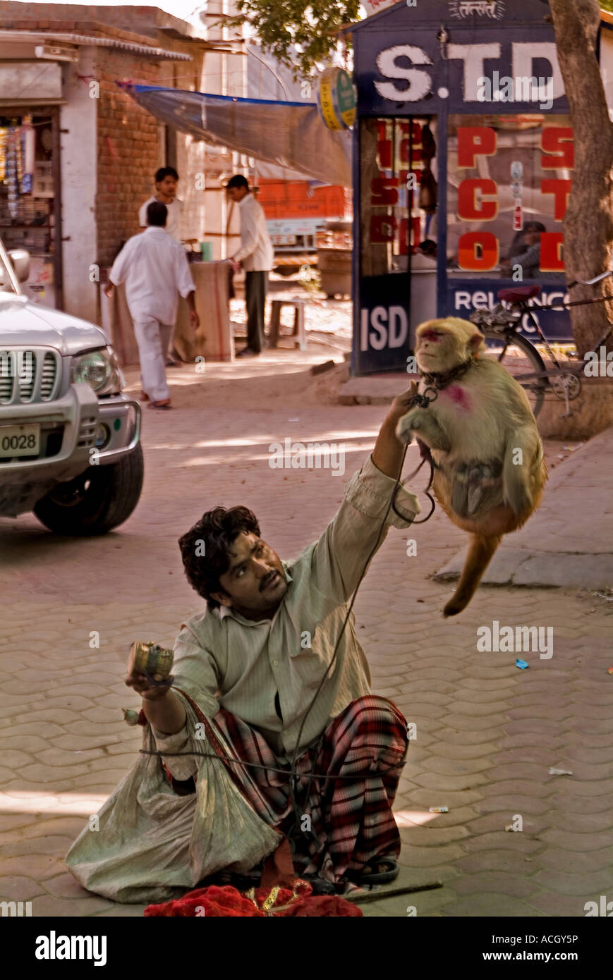 The organ grinder his monkey hi-res stock photography and images - Alamy