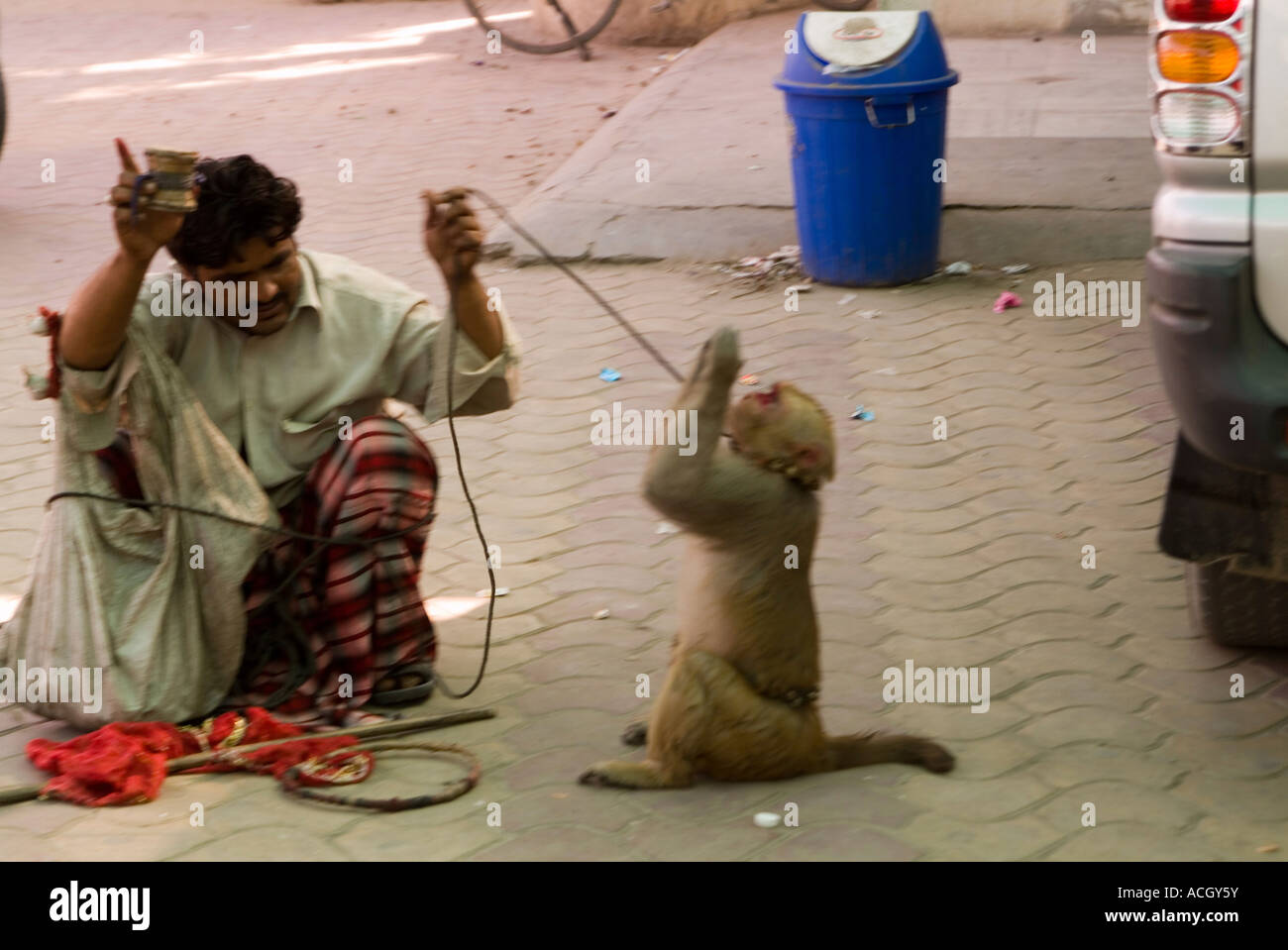 ORGAN GRINDER MAN AND ACROBATIC MONKEY Stock Photo - Alamy
