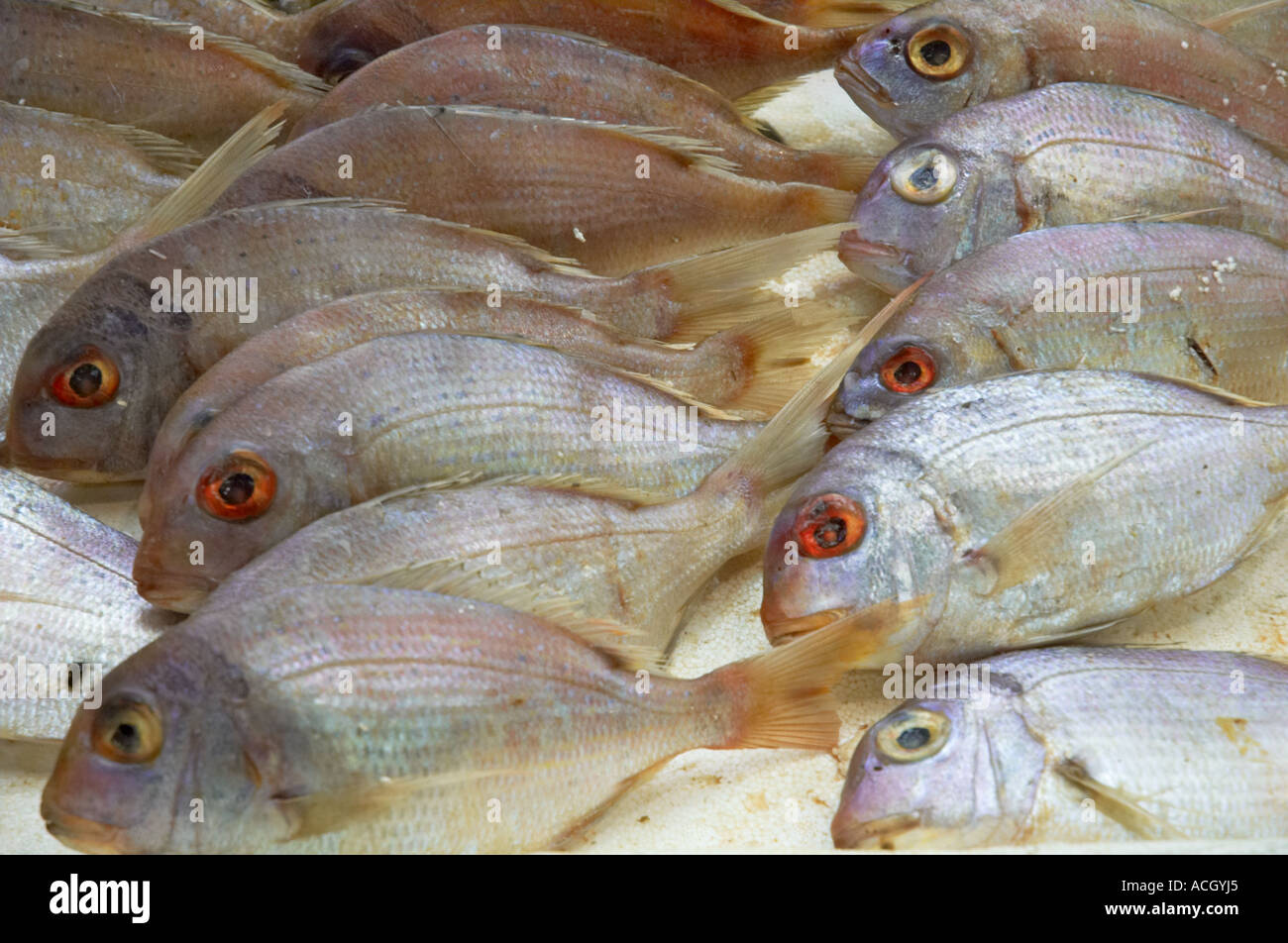 Fish at Queens Market in Upton Park East London UK Stock Photo - Alamy