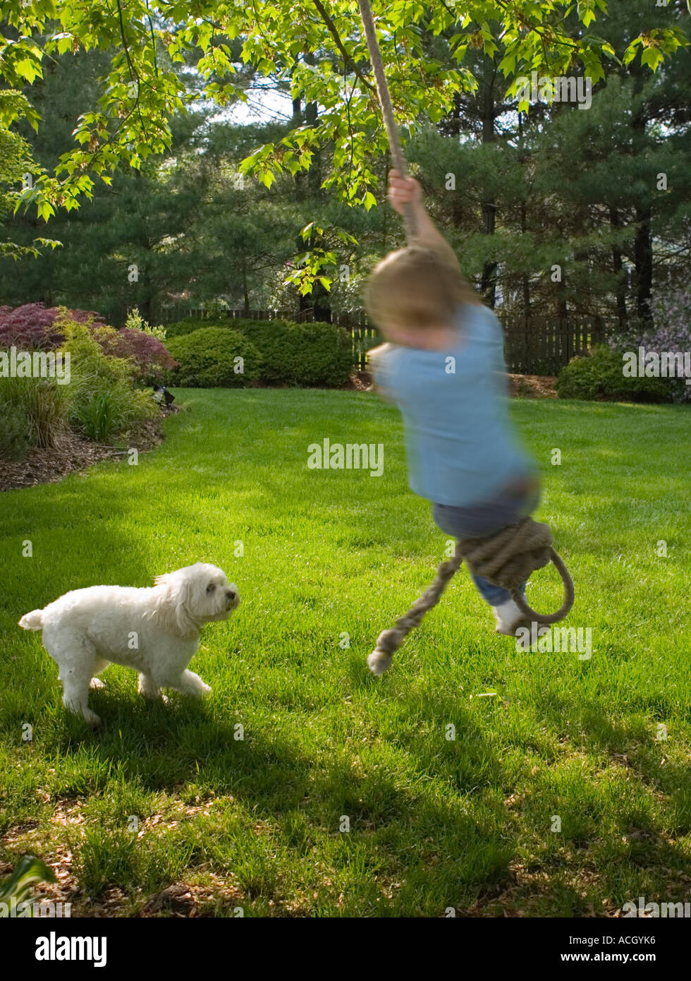 Child swinging from a rope hi-res stock photography and images - Alamy