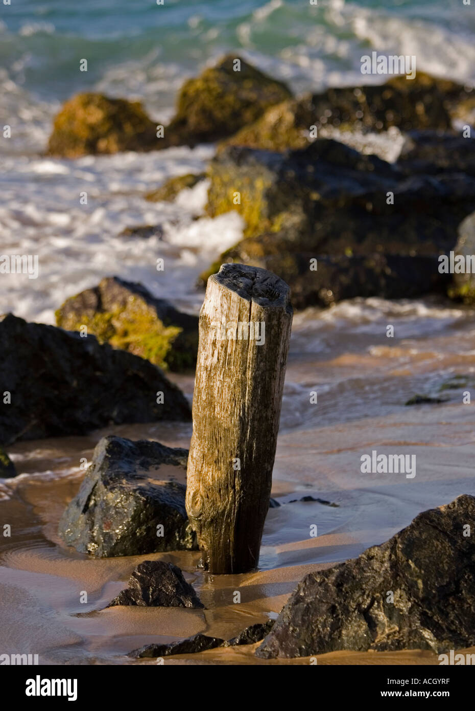 Piling on the beach Stock Photo - Alamy