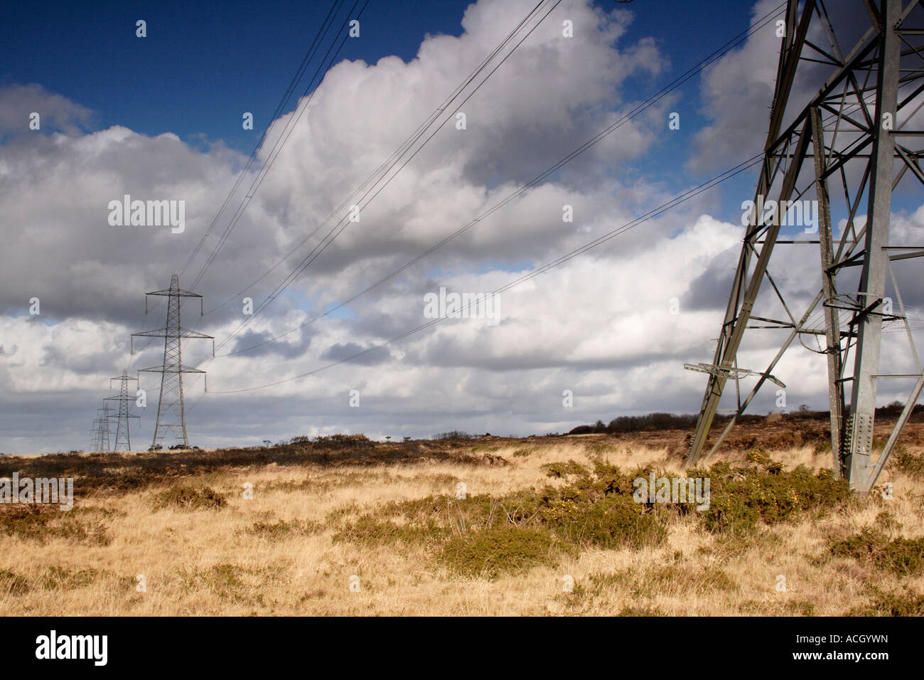 Telegraph pylons on Goss Moor NNR,Cornwall, England, UK Stock Photo - Alamy